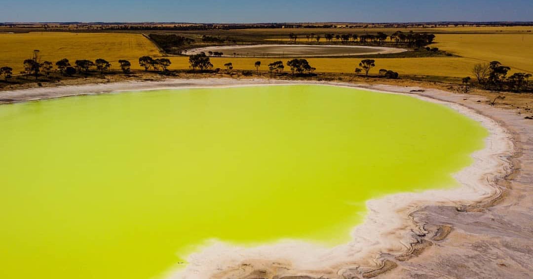 Book Review: Lake of Urine, by Guillermo Stitch – Yellow Crane in the Rain